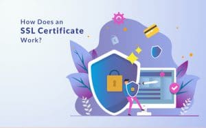 What Is an SSL Certificate and How Does It Work? [Best Guide]