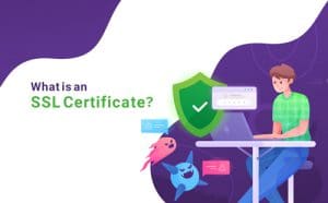 What Is an SSL Certificate and How Does It Work? [Best Guide]