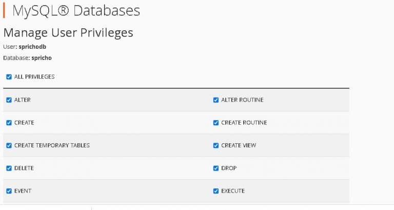 How to Upload Website on cPanel Expalined (4 Easy Steps)