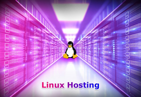 Linux Vs Windows Hosting - Which One Is Better - N6 Host Blog