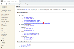 What Is Tomcat Server? + What Is Apache Tomcat Used For - N6host