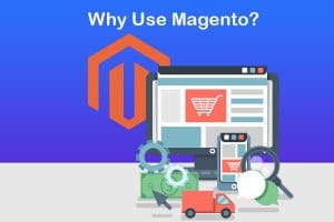 What Is Magento Software and What Does It Do? [Best Guide]