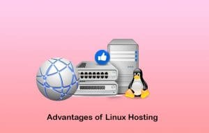 what is linux hosting? linux web hosting server meaning